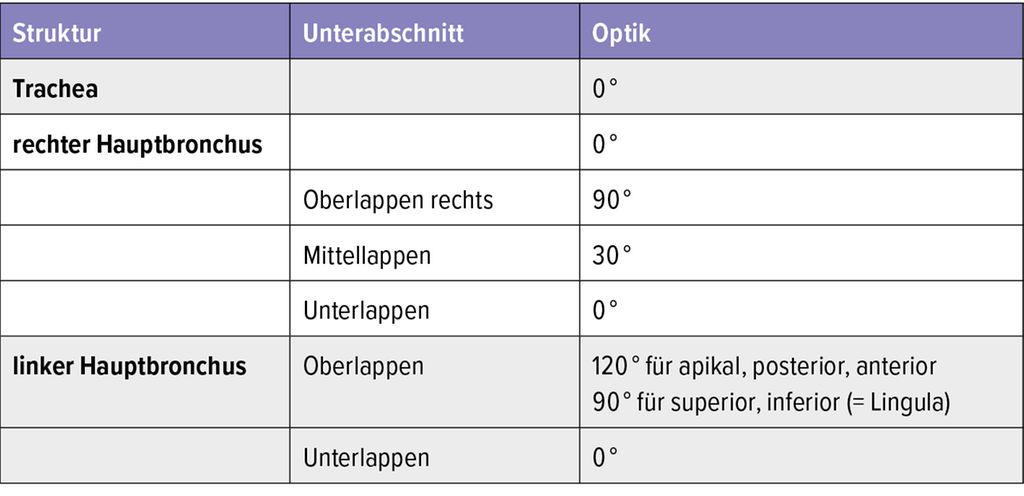 Tracheobronchoskopie in der Hals-Nasen-Ohren-Heilkunde - HNO ... Tracheobronchoskopie in der Hals-Nasen-Ohren-Heilkunde - HNO ...